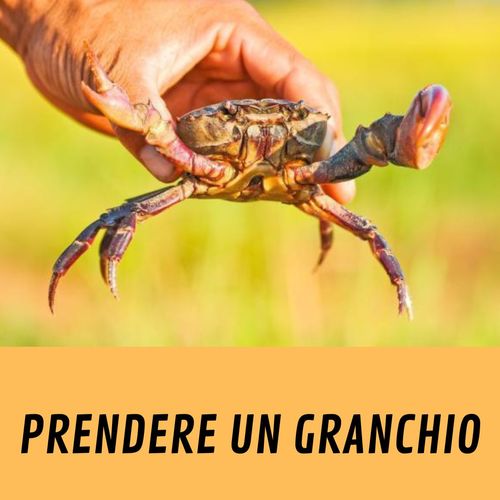 PRENDERE UN GRANCHIO - Espressione idiomatica | 講師 Federica S. 的專欄